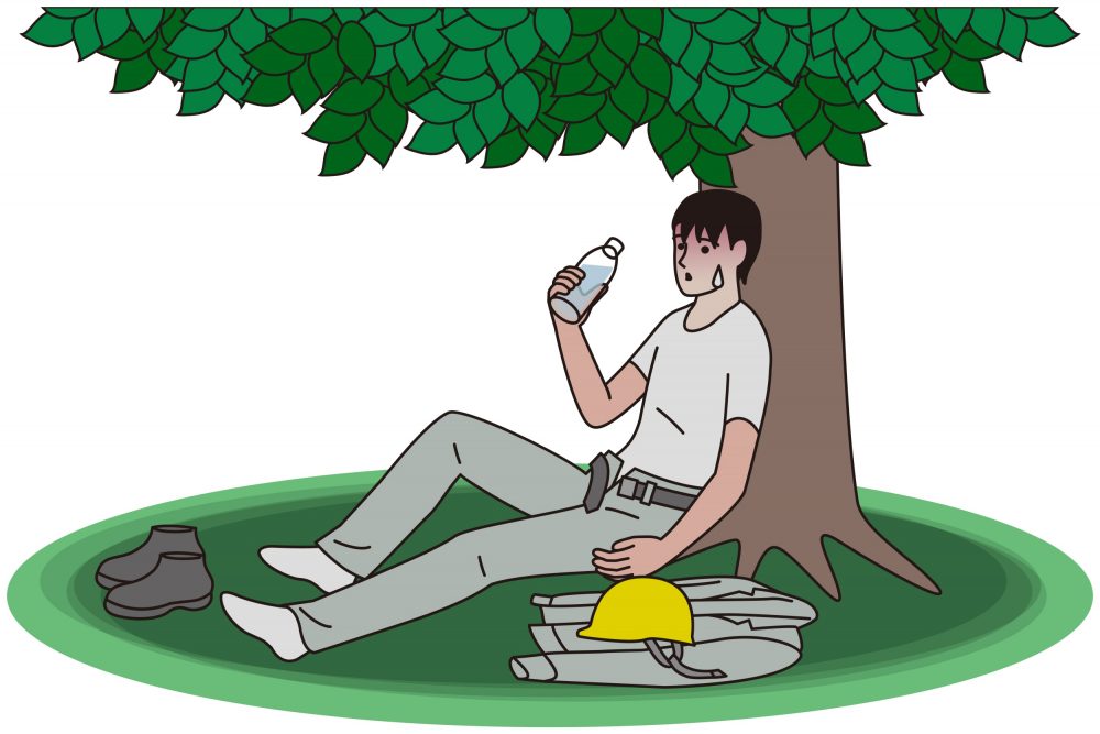 Hipertermia - Elevação da temperatura corporal - Fisiologia - InfoEscola