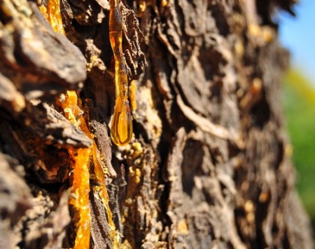 Resinas - Compostos Químicos - InfoEscola