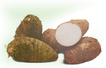 Inhame - Plantas - InfoEscola