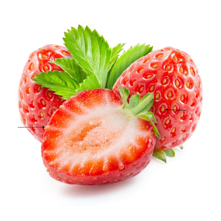 Pseudofrutos - Partes das Plantas - InfoEscola