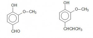 Experimentação com a função orgânica Éter - Química - InfoEscola