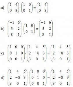 Matriz Identidade - Matemática - InfoEscola