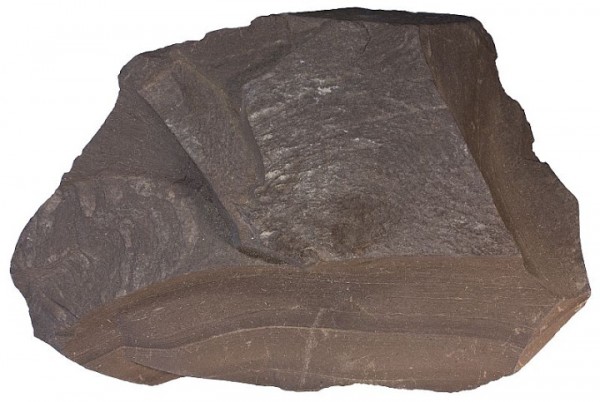 Xisto betuminoso - Rochas e Materiais - InfoEscola