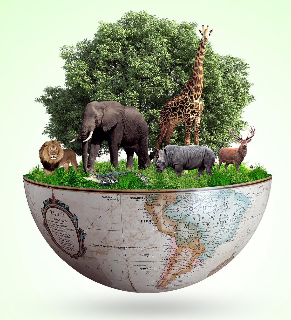 Biodiversidade Conceito E Import ncia Ecologia InfoEscola Biodiversidade Conceito E Import ncia Ecologia InfoEscola