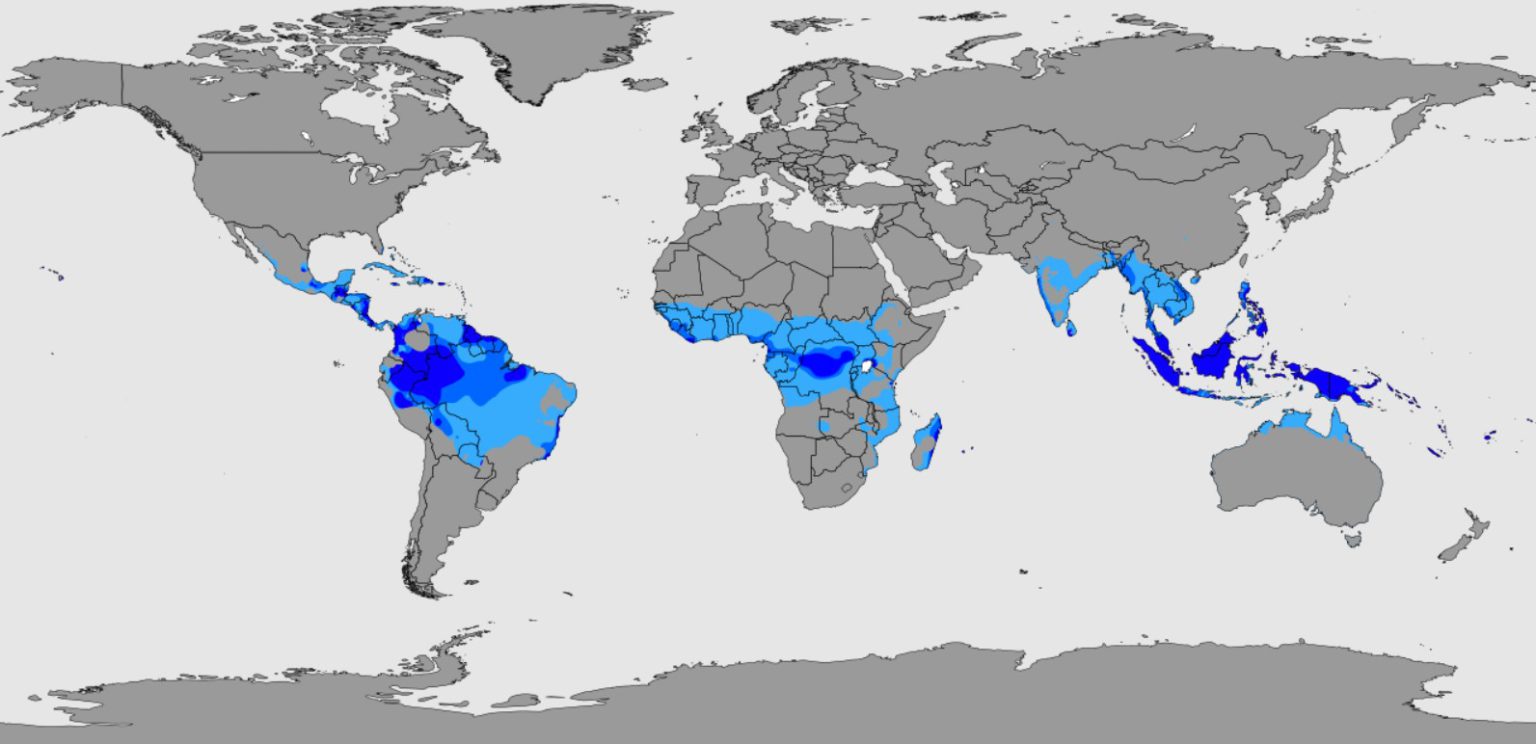 Clima tropical - Geografia - InfoEscola Clima tropical - Geografia - InfoEscola