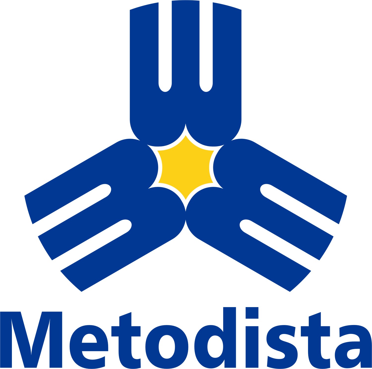 Metodista Logo