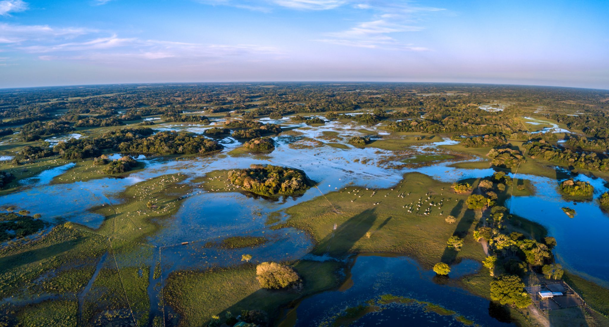 Domínio Morfoclimático Do Pantanal Geografia Infoescola