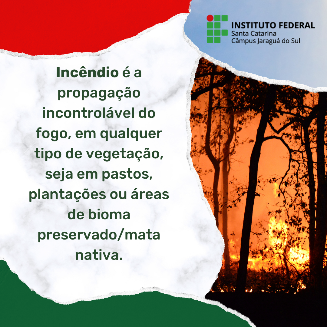 Sobre As Queimadas Marque A Alternativa Correta - FDPLEARN